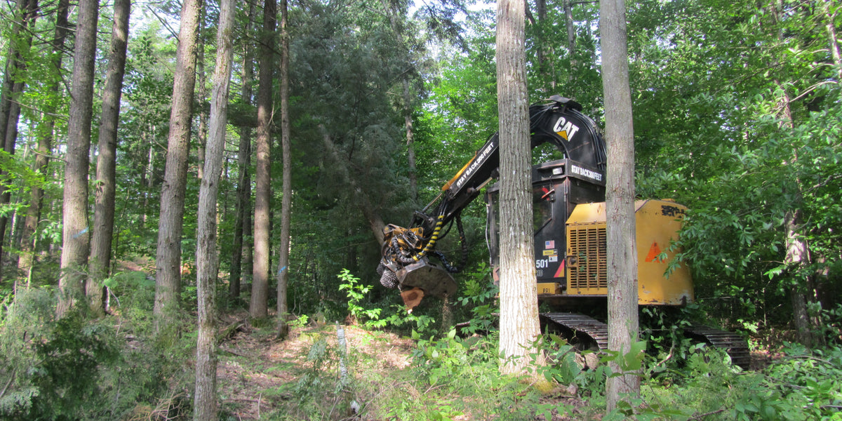 Summer Happenings at Bascom — Bascom Maple Farms Inc