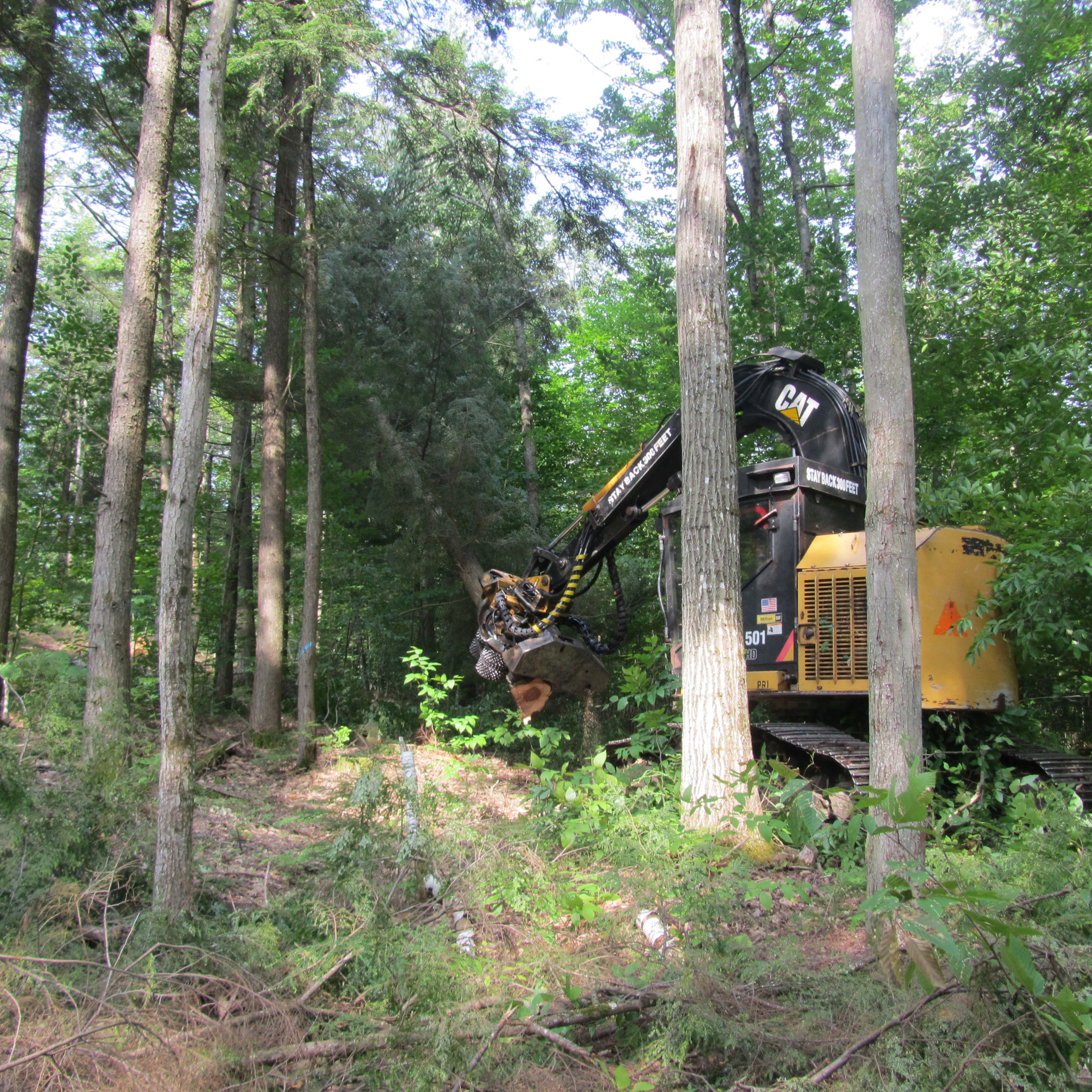 Bascom Maple Farms — BascomMaple.com